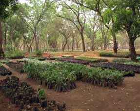 BAMAKO – National Park of Mali – Ismailimail