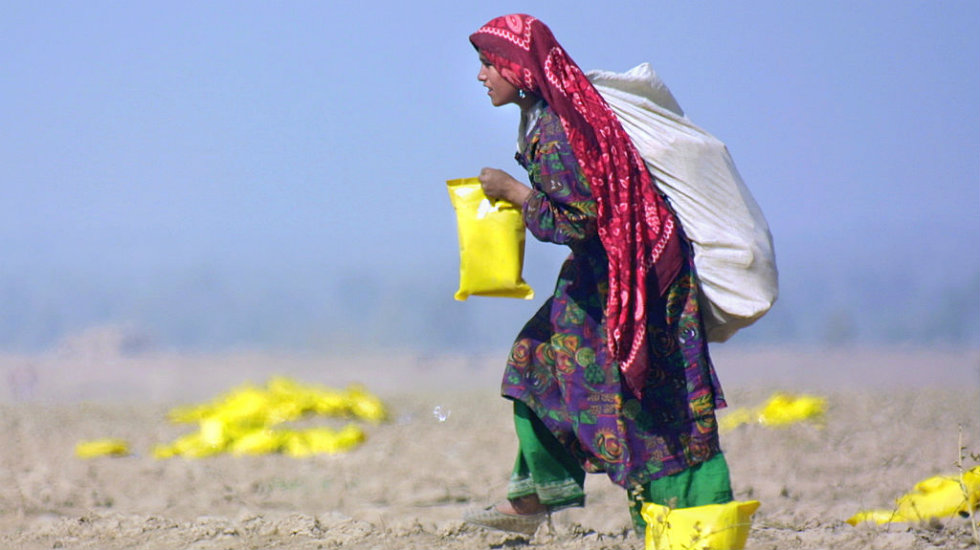 Sada Cumber: Foreign aid is fundamental, but we can do more with less ...