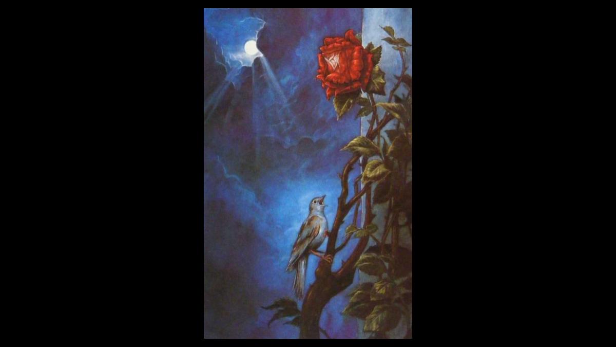 The Rose and the Nightingale: A story representing the central theme of ...