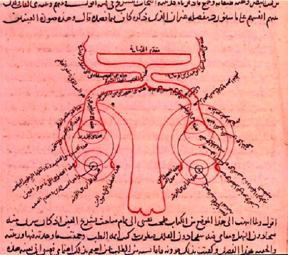 Ibn al-Haytham, a pioneer of modern optics, influenced Renaissance art ...