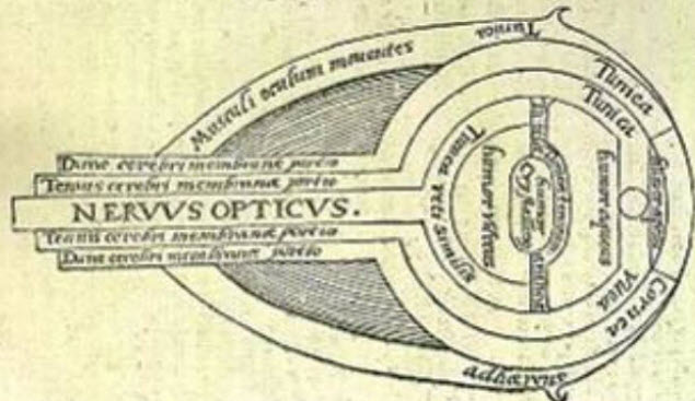 Ibn al-Haytham, a pioneer of modern optics, influenced Renaissance art ...